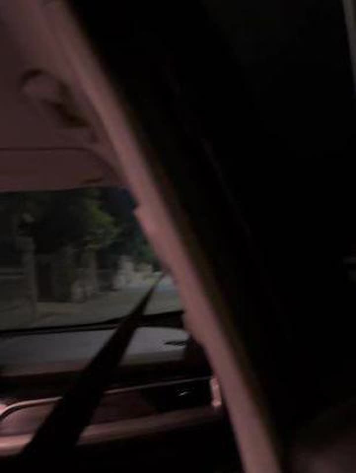 不一样的车载挂件#迷惑行为#搞笑