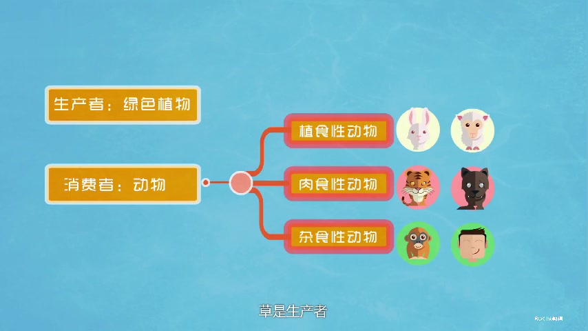 【科普】动物和生物圈