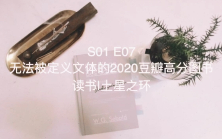 无法被定义文体的2020豆瓣高分图书|读书|土星之环