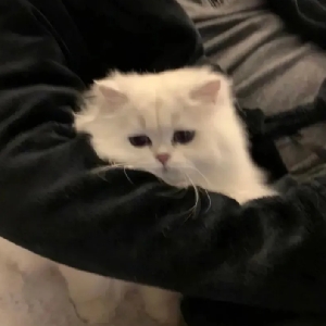 有只熊鼠舍 
