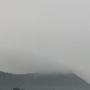 夏天过去了12 