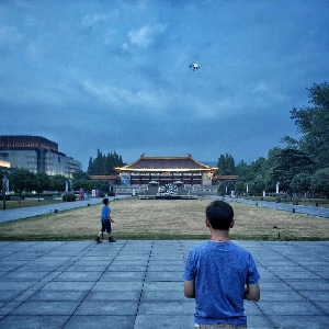 迷路的毛驴 