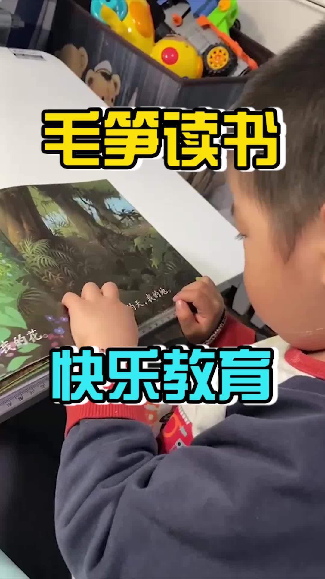 认字一定要用中文分级读物分级认字再用这些字编故事毛笋现在第一级...