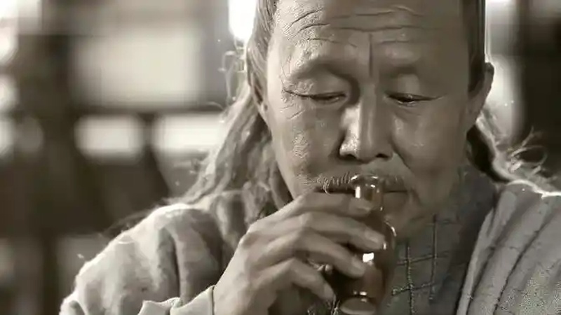 大概只有热爱中医药的人才会被推到这个视频吧