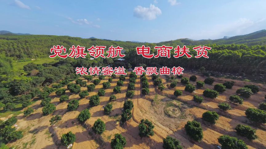 党旗领航,电商扶贫-浓情蜜溢,香飘曲樟公益直播活动成功举办