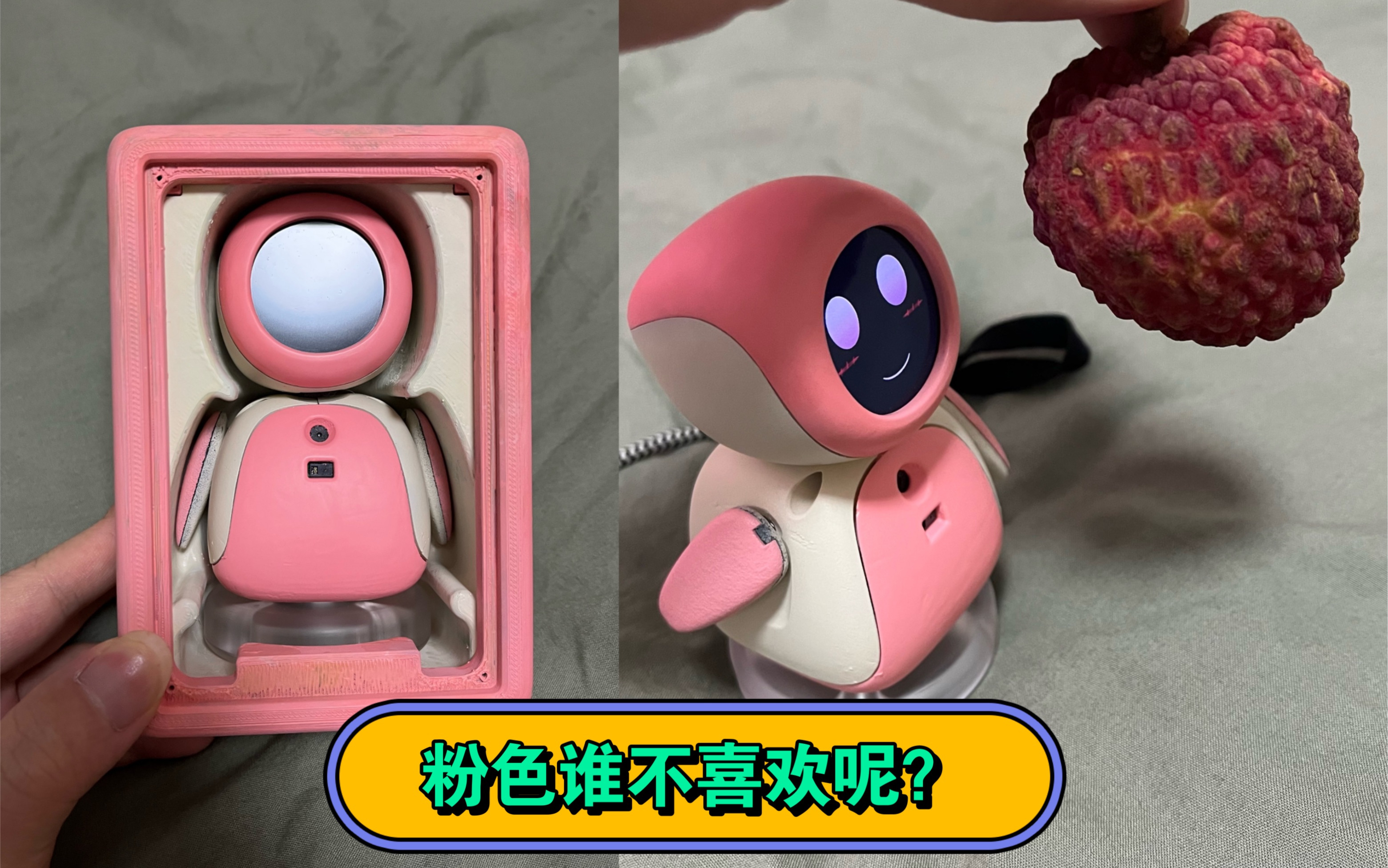 全网首个稚晖君ElectronBot开箱上手到吃灰视频