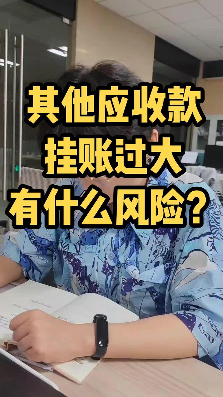 其他应收款挂账过大,有什么风险?#会计 #老板 #财税 #财务 #税务风险