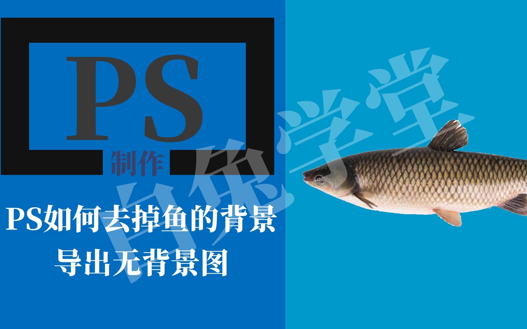 PS如何去掉鱼的背景导出无背景图