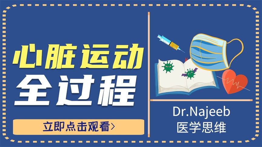 【心脏周期】图表演示心脏的收缩和舒张的全过程