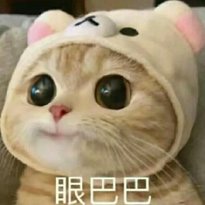 二胡菌12138 
