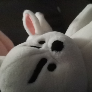 别说话老老实实的 