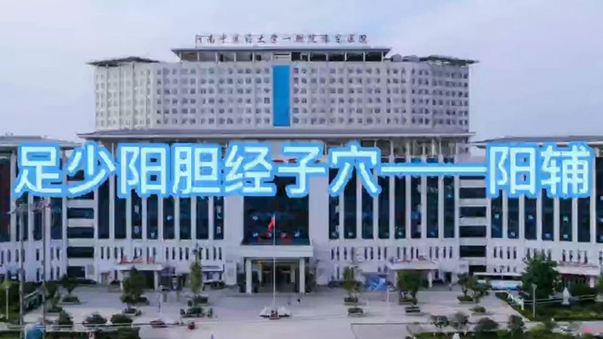 足少阳胆经经子穴——阳辅