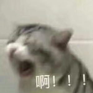 安月十七 