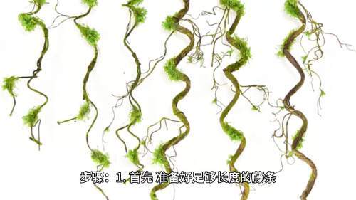 藤条编织包包角怎样编织