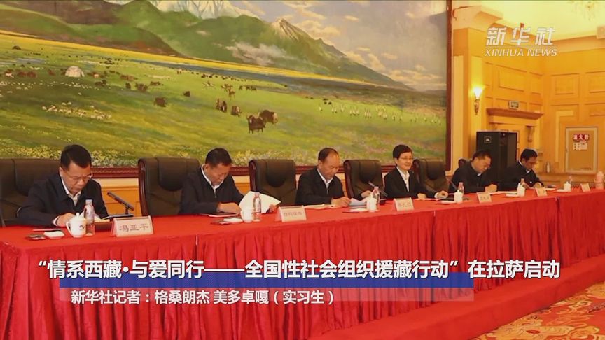 “情系西藏·与爱同行——全国性社会组织援藏行动”在拉萨启动