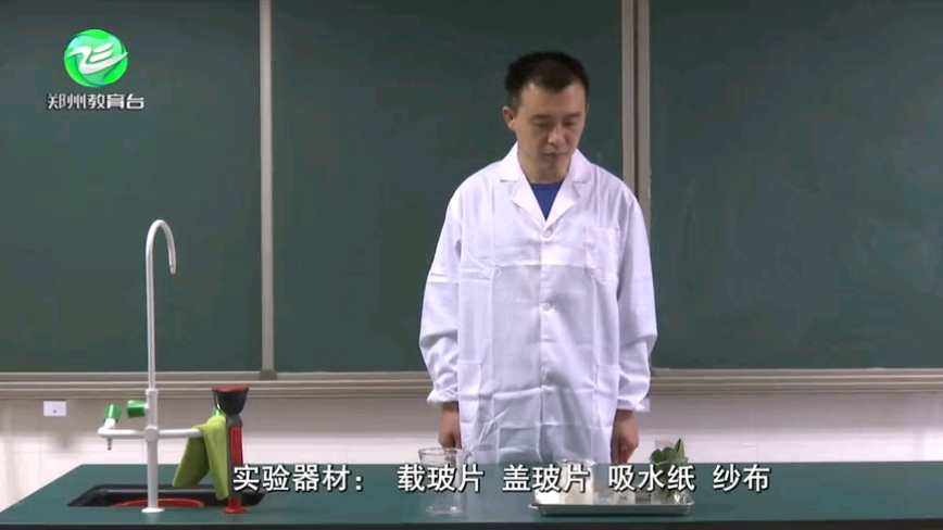 制作叶片下表皮细胞临时装片
