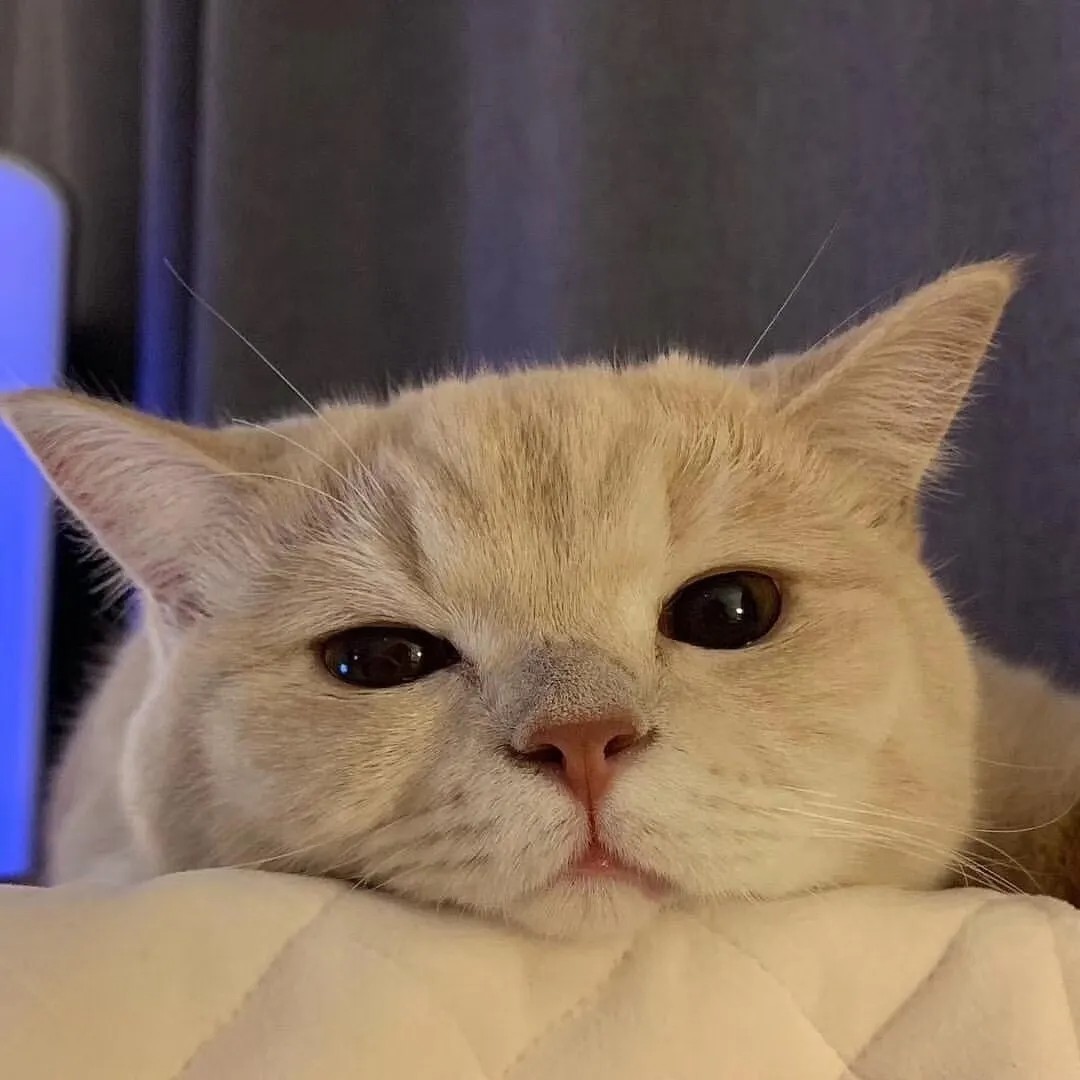 锦瑟安年五十弦 