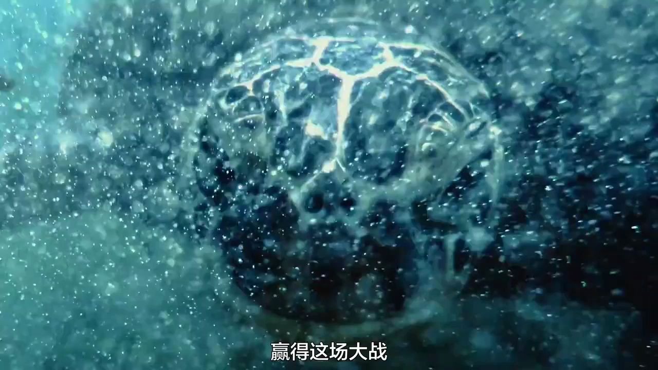 【环保短片】震撼环保公益短片《致我们的地球》