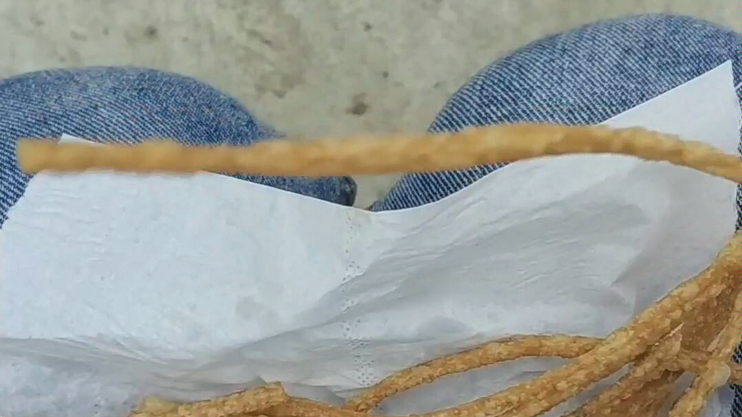 投食一只十几岁的老狗狗