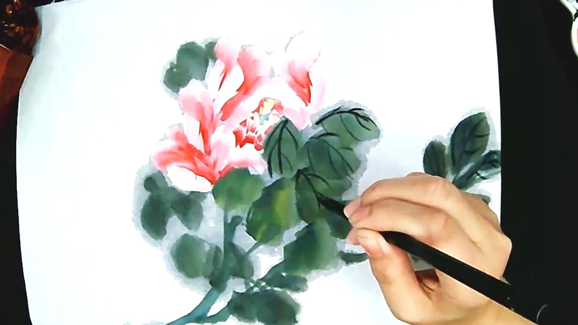 写意画粉红牡丹花,画叶片遮住的牡丹花