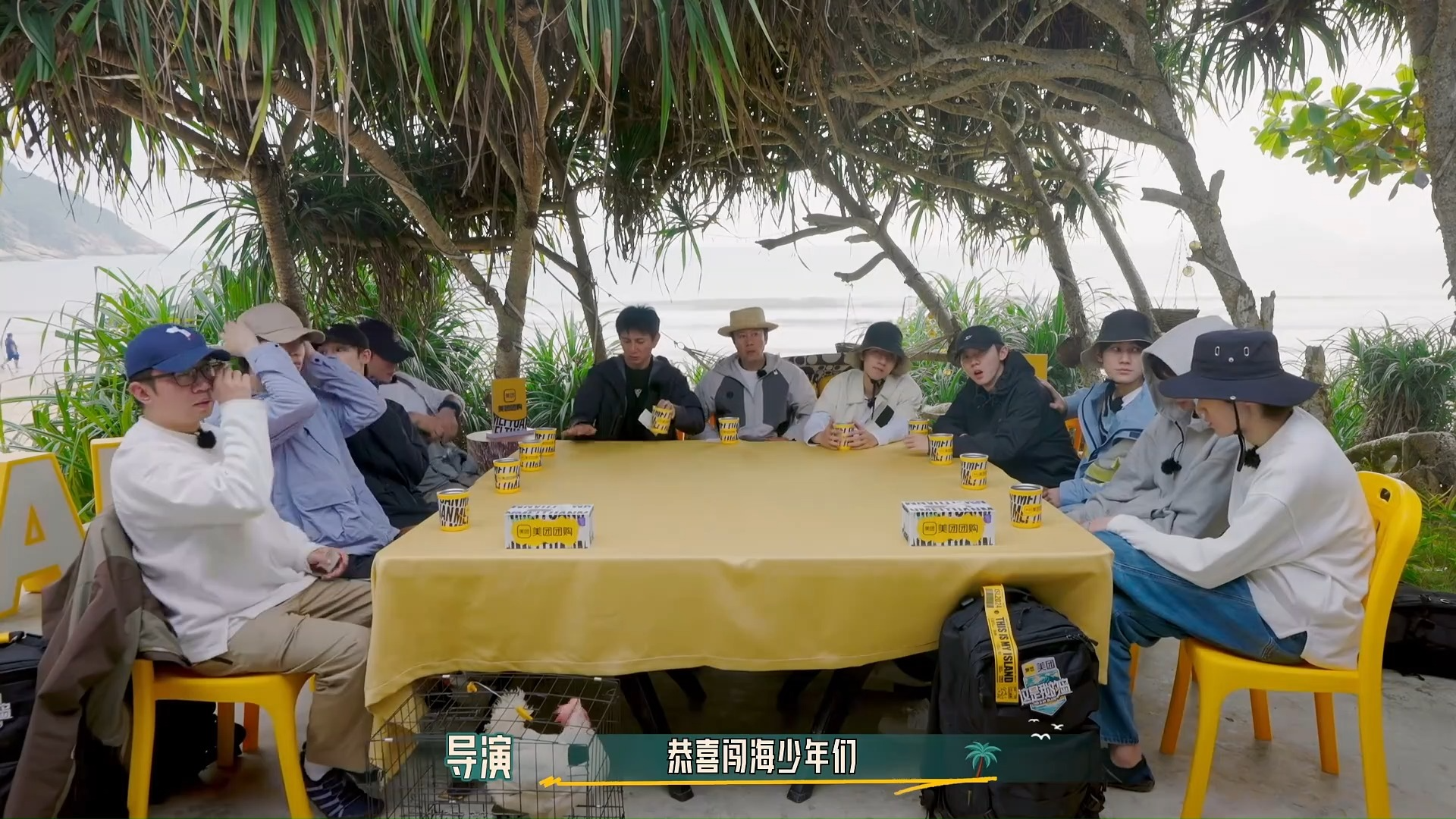 【时代少年团】岛-河南山东方言介绍椰子鸡,基因里自带的亲切感