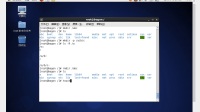Linux常用命令(cat、rm、rmdir、touch)