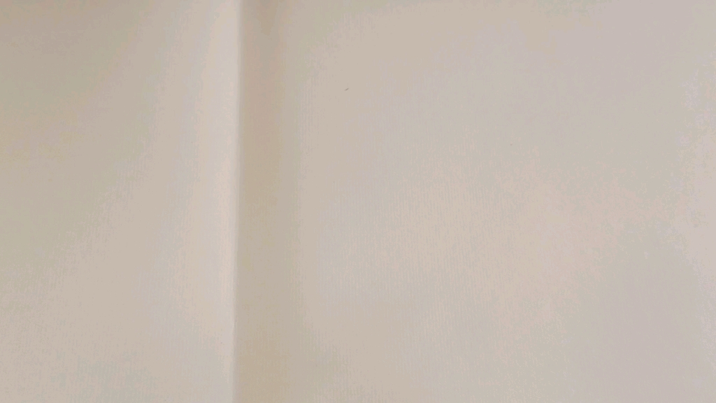 第四天,老头学书法,挑战一万天,12/30