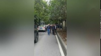 网作协党支部主题党日活动