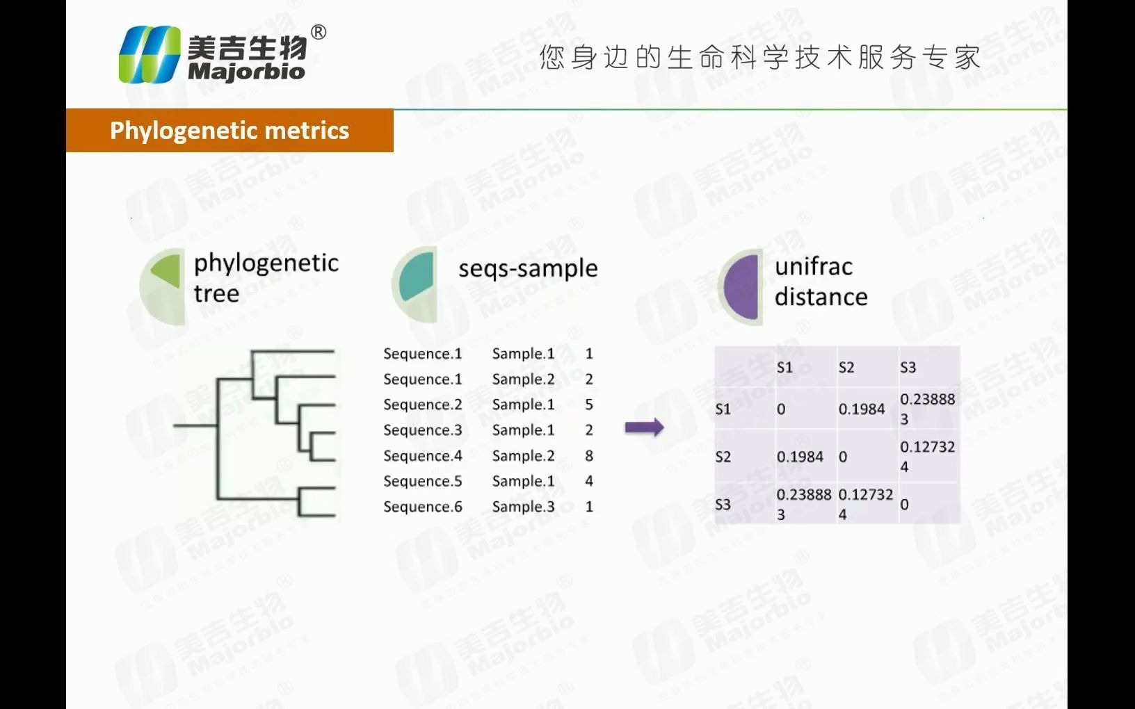 R语言绘图-β多样性分析