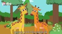 长颈鹿总是默默无语,它是哑巴吗?