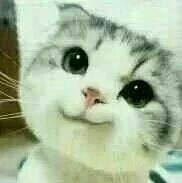 滴滴搬运怪 