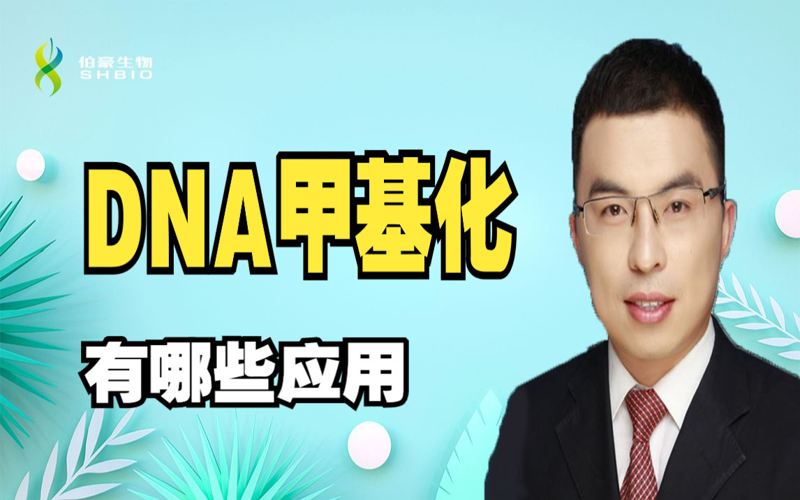 【表观组】DNA甲基化研究概述及热点应用解析