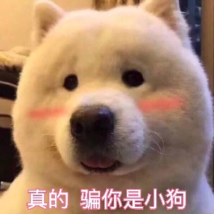 冰山马上注销 