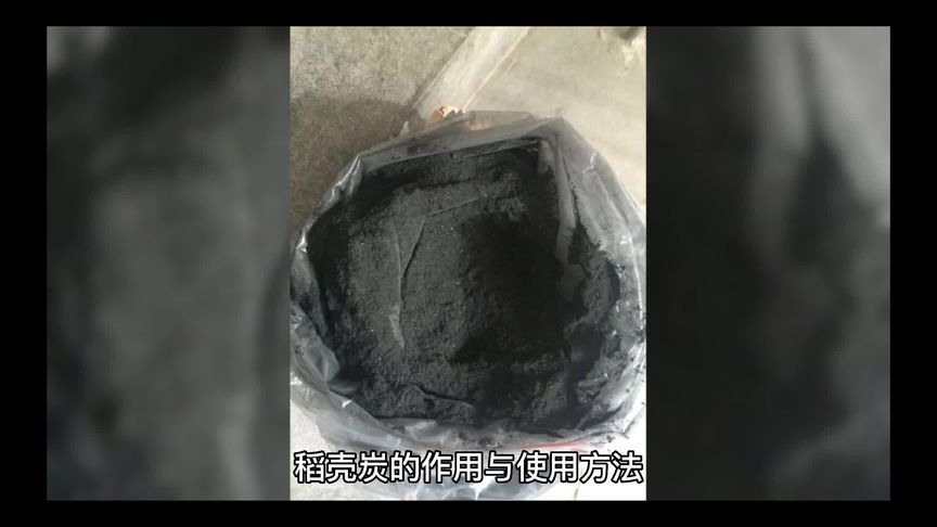 稻壳炭的作用和使用方法#稻壳炭 #稻壳炭灰 #稻壳灰 #营养土