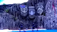 广州长隆海洋王国海豚现场表演VID_20171213_121512