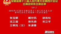 安徽省第十二届人民代表大会第四次会议主席团常务主席名单[新安夜空]
