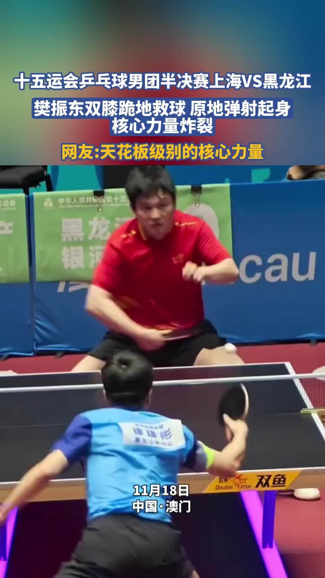 樊振东双膝跪地救球 原地弹射起身,核心力量炸裂