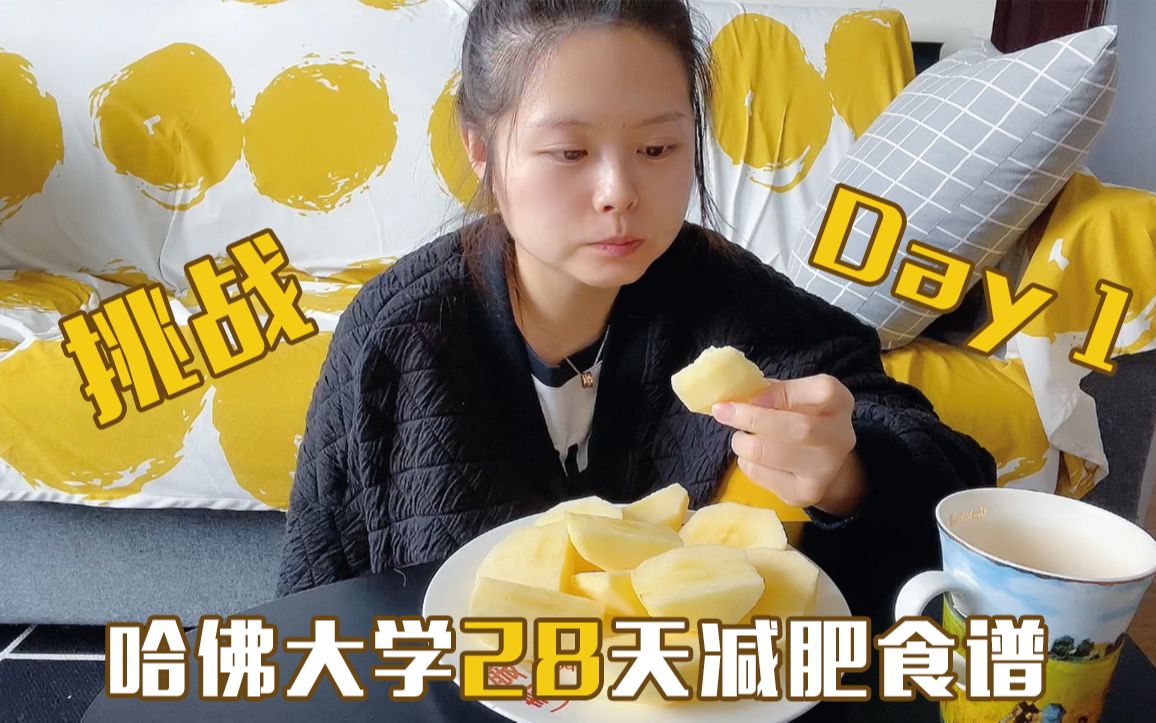 哈佛大学28天减肥食谱,效果还不错,一天都能吃的饱饱的