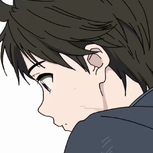 雷迪森和砖头们 