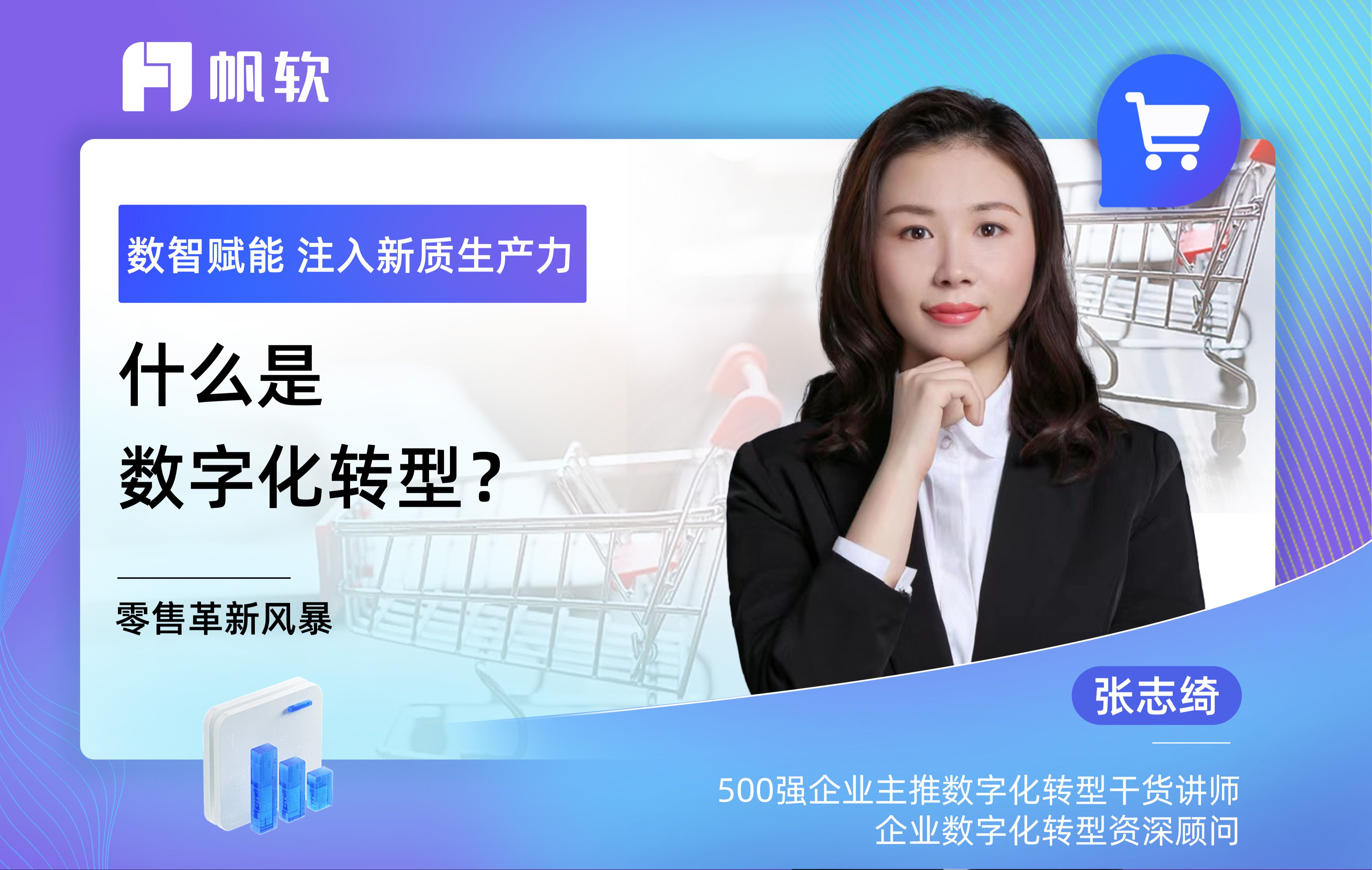 零售行业专家分级讲述“什么是数字化转型?”