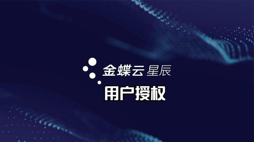 金蝶云星辰 用户权限设置,用户授权管理