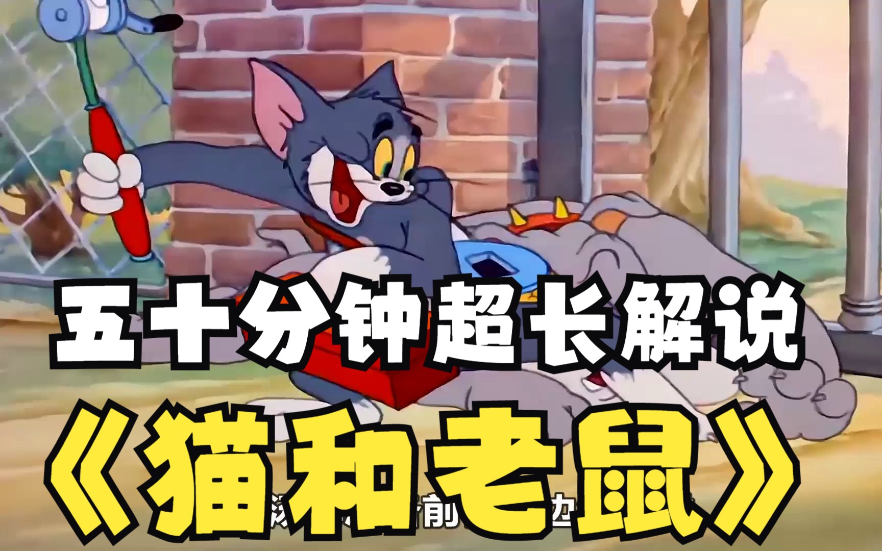 一口气看完50集经典动画猫和老鼠,熬夜一个星期制作!