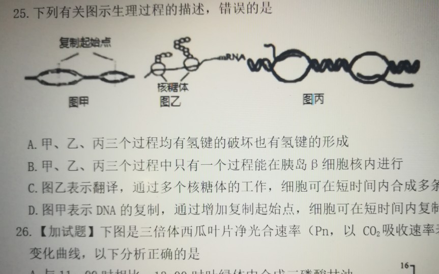 DNA复制,RNA转录及翻译过程中均有氢键的破坏和形成吗?