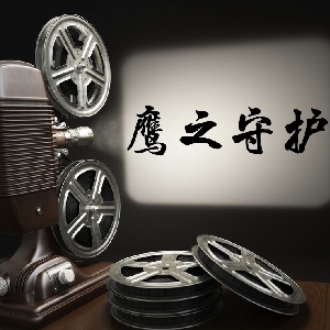 鹰之守护8
