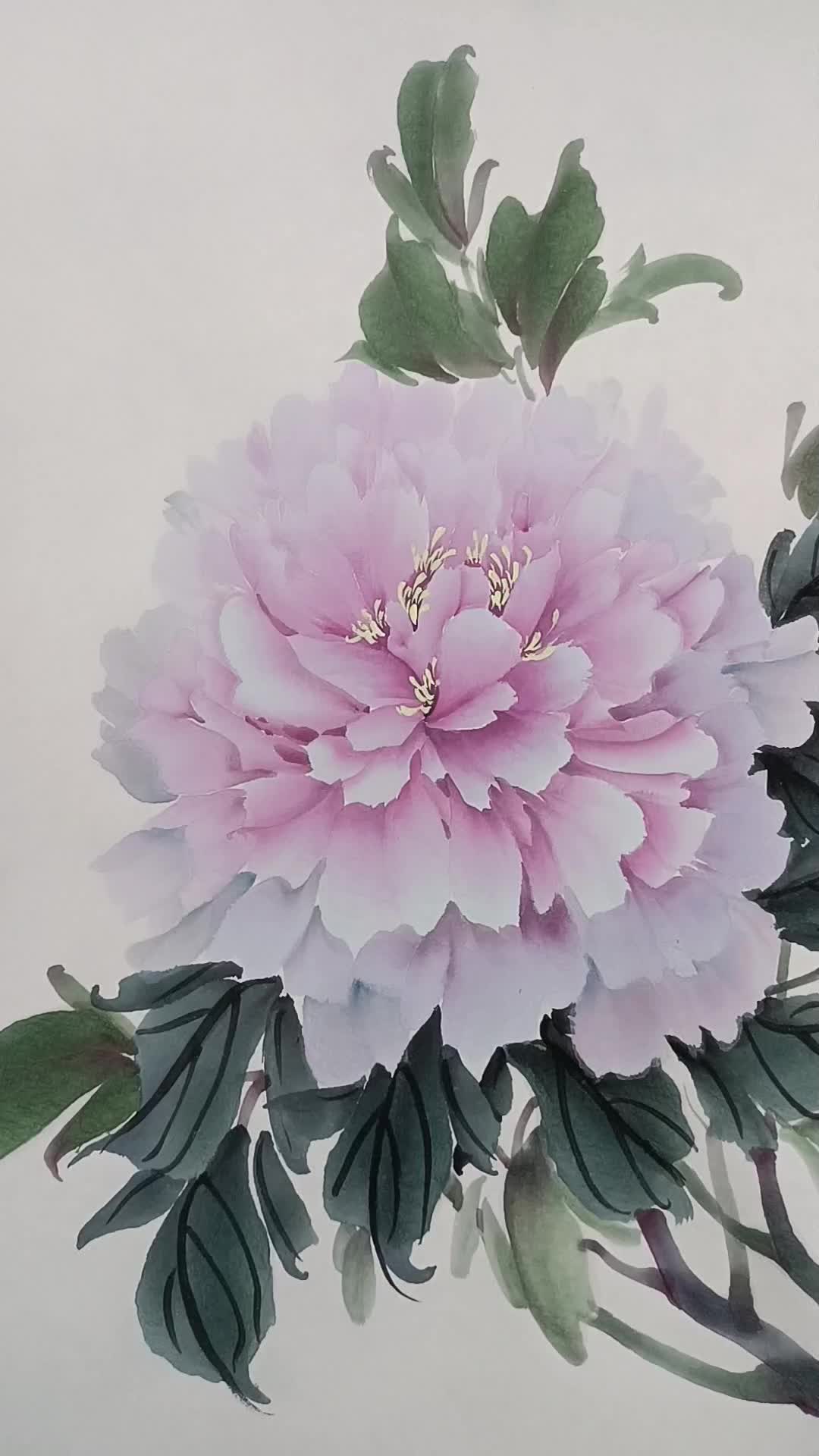 娇艳的牡丹,往往只需要最朴素的绘画方式