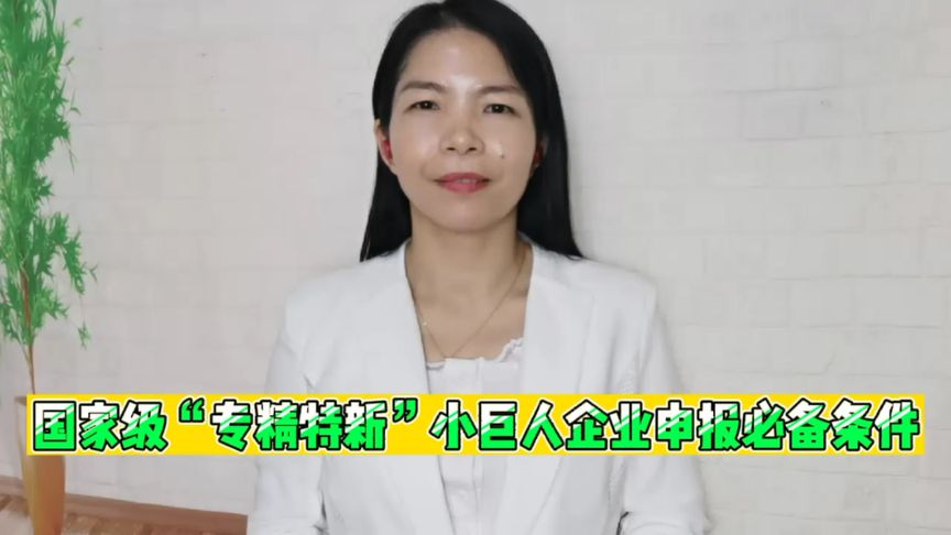 国家级“专精特新”小巨人企业申报必备条件