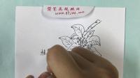 桂花简笔画视频