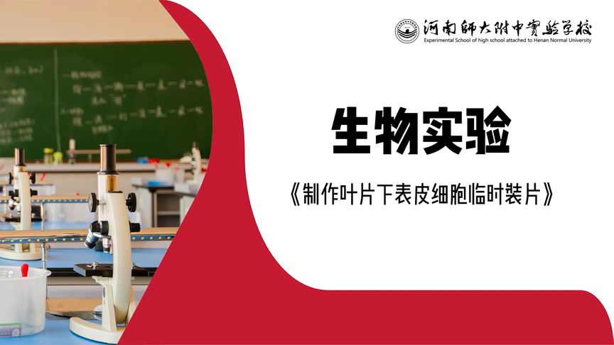 河南中考实验 生物9 《制作叶片下表皮细胞临时装片》