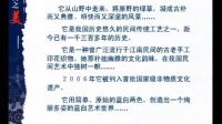 初中高中小学美术 试讲 无生试讲 说课 模拟讲课第六课 蓝白之美(1).