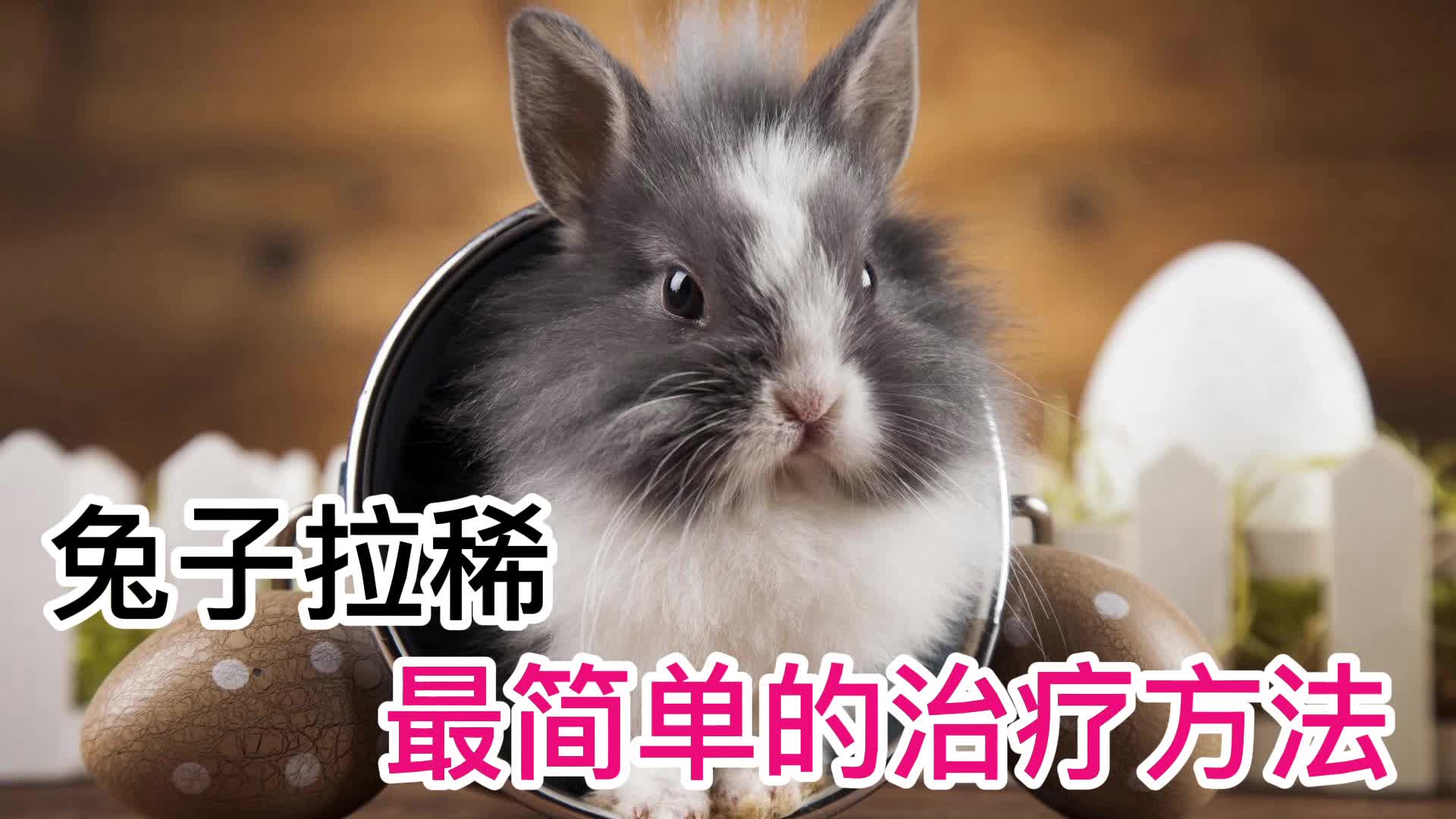 兔子拉稀最简单的治疗方法